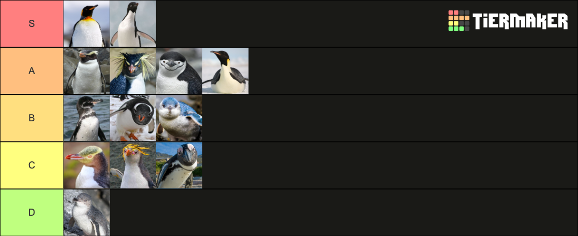 Penguin Species Tier List (Community Rankings) - TierMaker