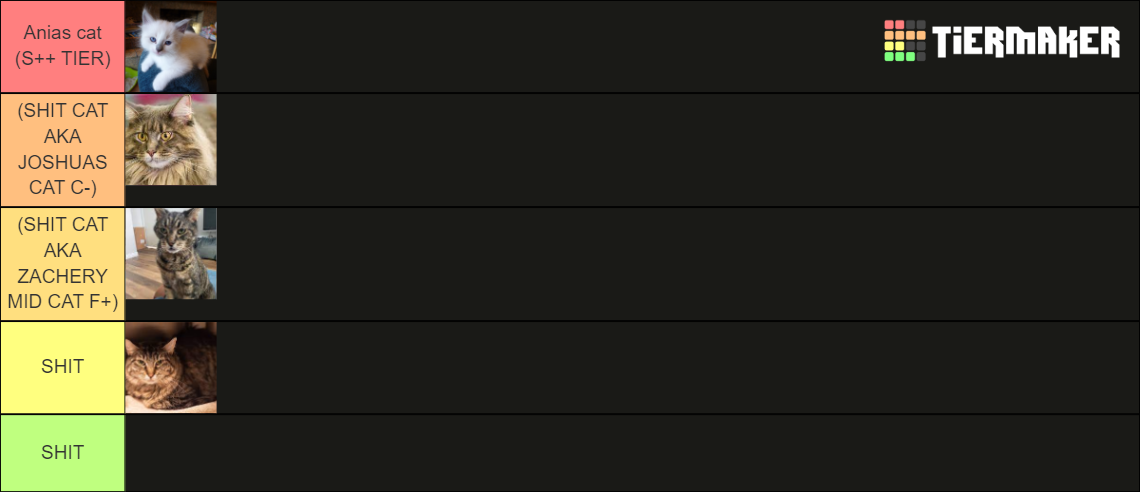 CATS TIER LIST Tier List (Community Rankings) - TierMaker