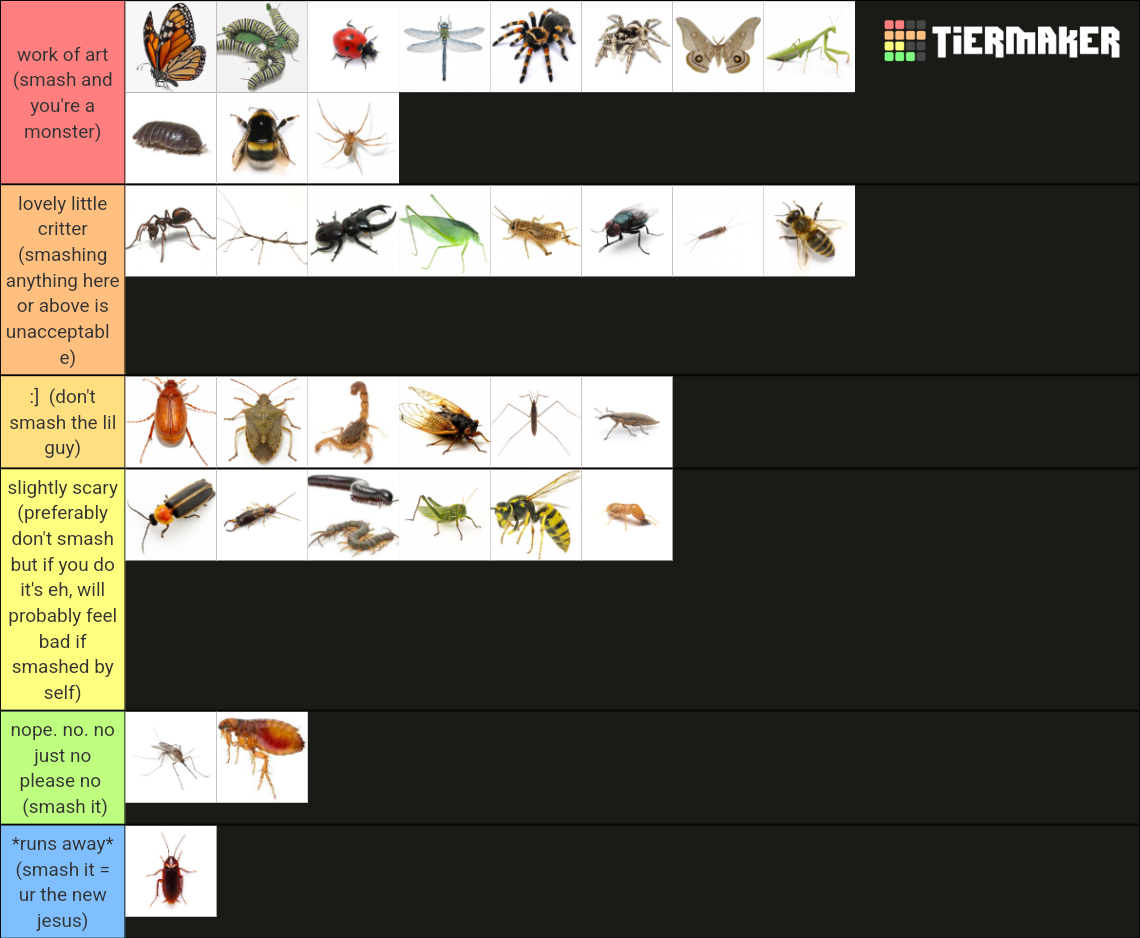 Official Bug Tier List (Community Rankings) - TierMaker