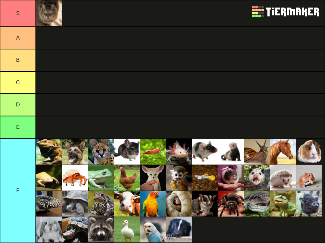 ULTIMATE PET TIER LIST Tier List (Community Rankings) - TierMaker