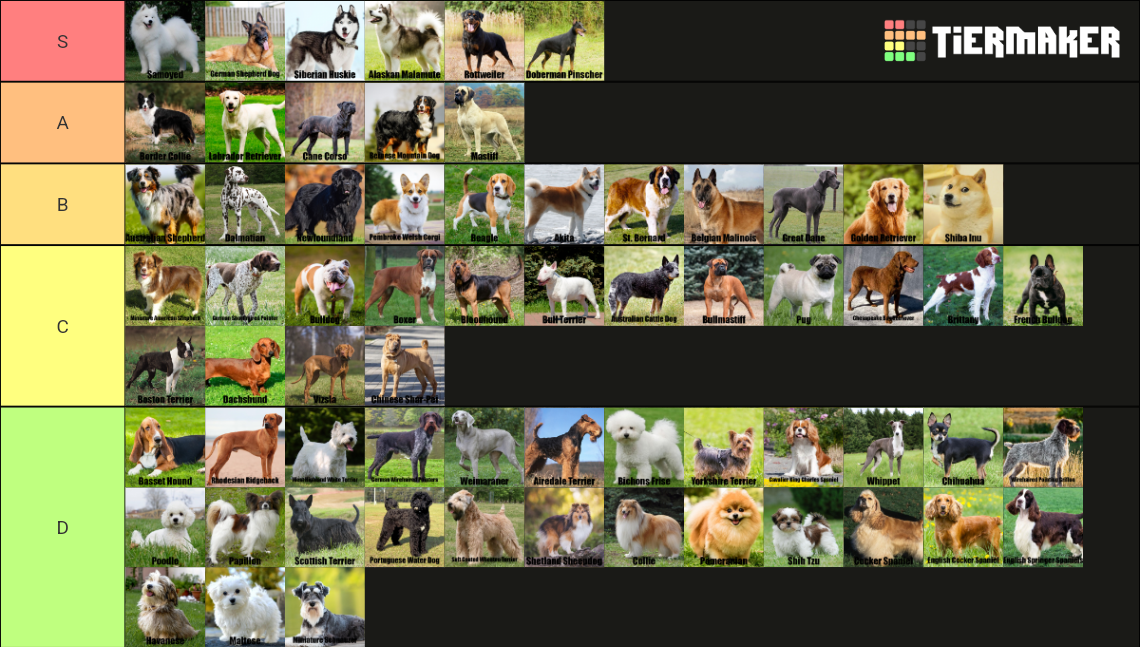 Dog Breeds Tier List (Community Rankings) - TierMaker
