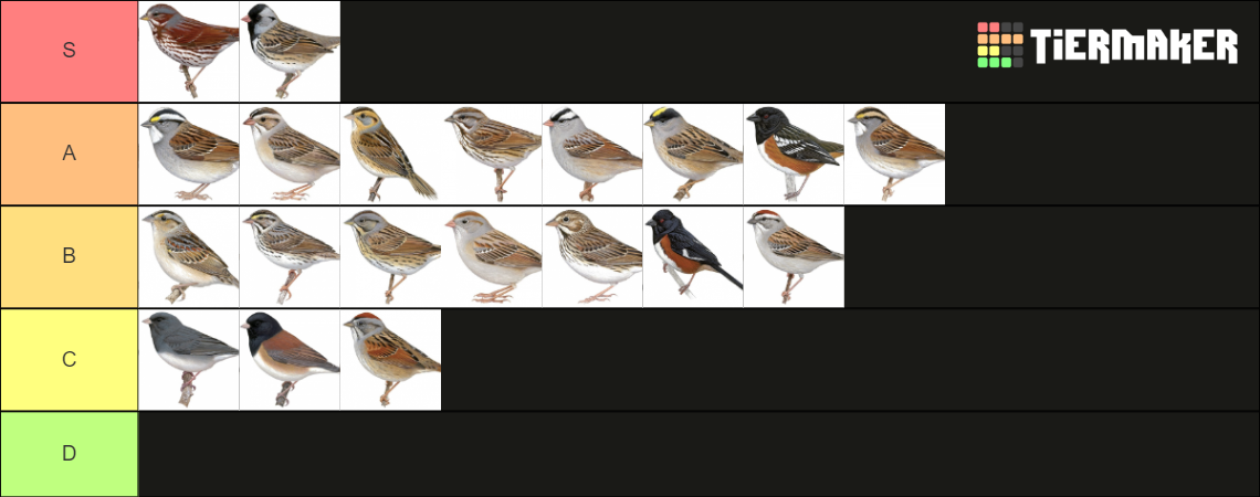 Passerellidae (New World Sparrows) Tier List (Community Rankings ...