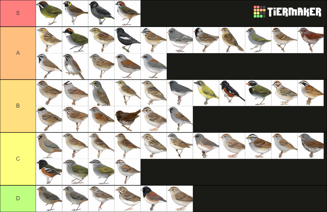 Passerellidae (New World Sparrows) Tier List (Community Rankings ...