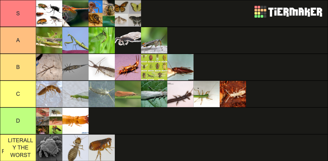 Bug tierlist Tier List (Community Rankings) - TierMaker