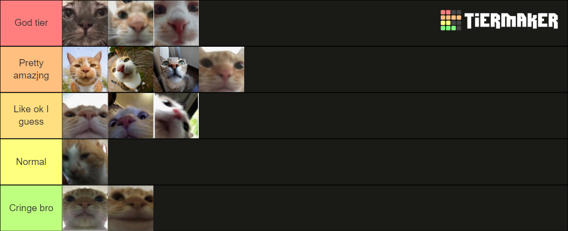 Swag cat (emotional) Tier List (Community Rankings) - TierMaker