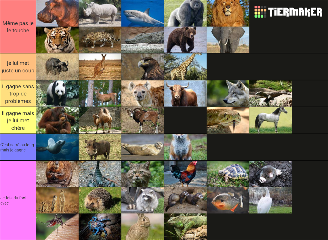 1v1 Animaux sauvage Tier List (Community Rankings) - TierMaker