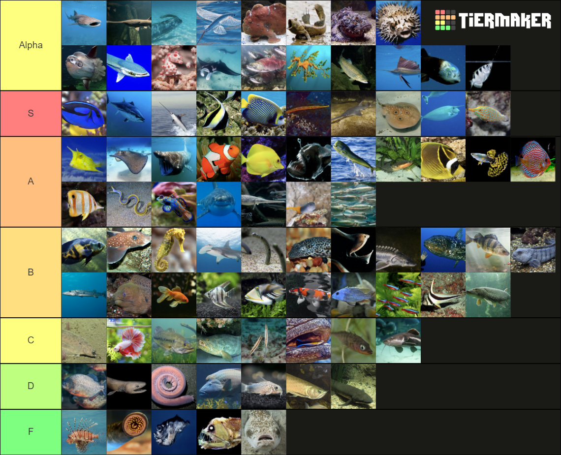 Fish Tier List (Community Rankings) - TierMaker