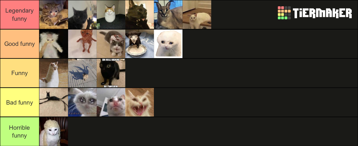 Cat memes tierlist Tier List (Community Rankings) - TierMaker