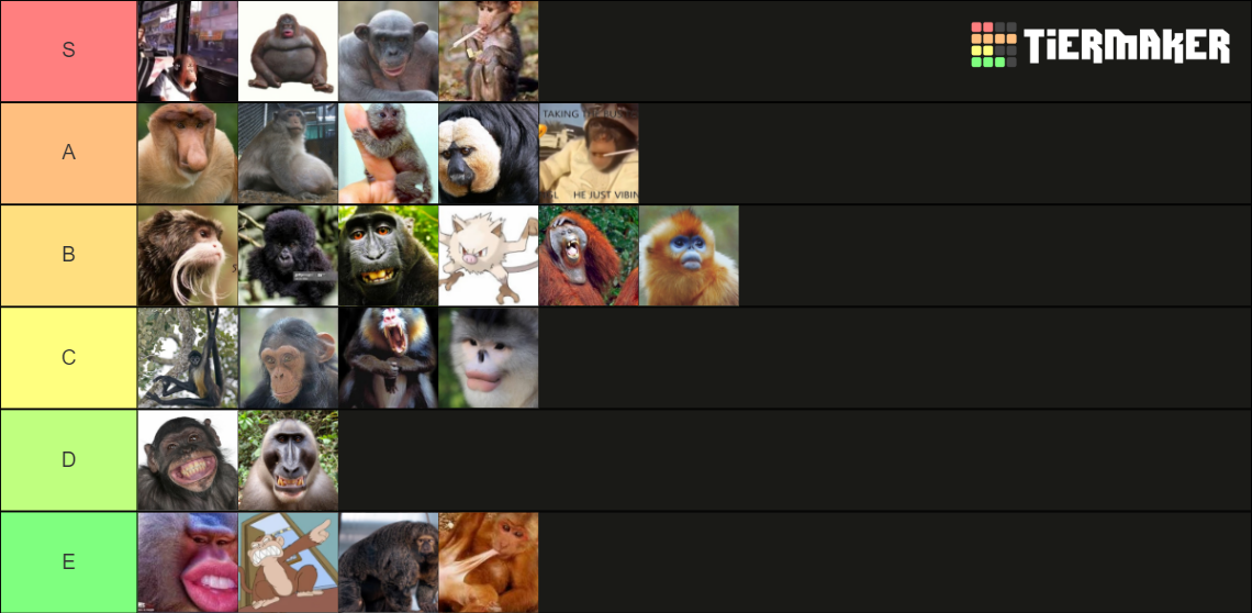 monkey Tier List (Community Rankings) - TierMaker