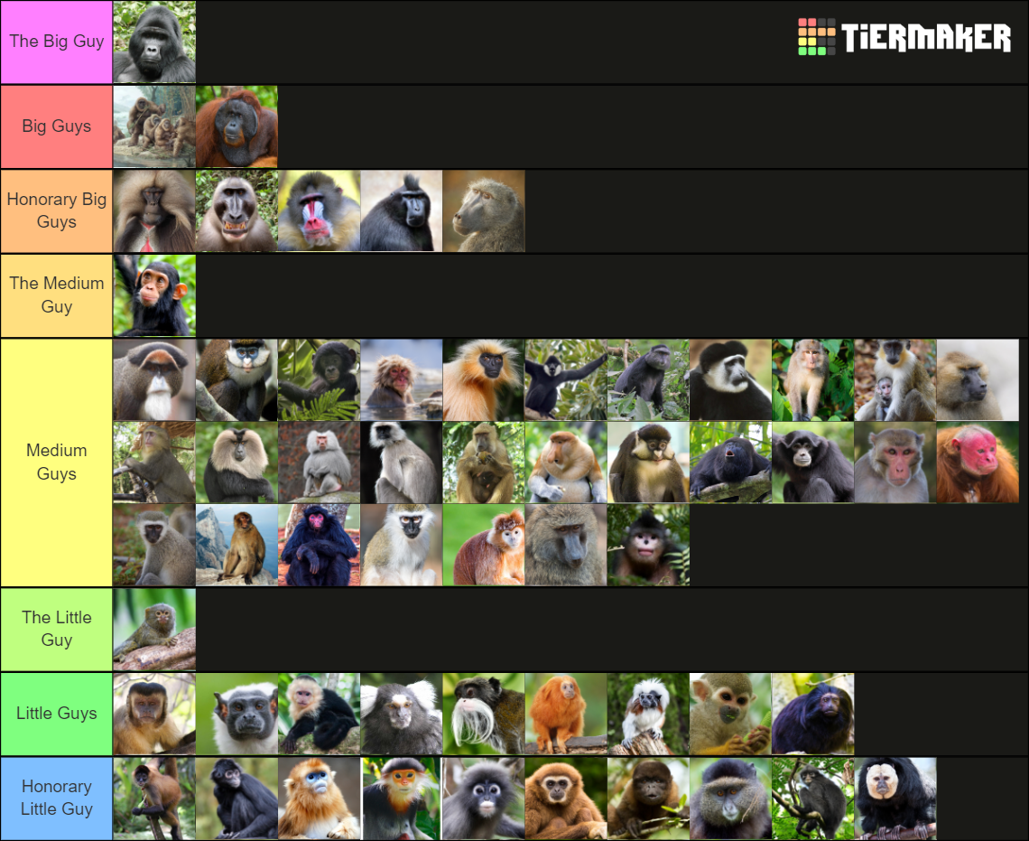 Monkeys/Apes Tier List (Community Rankings) - TierMaker