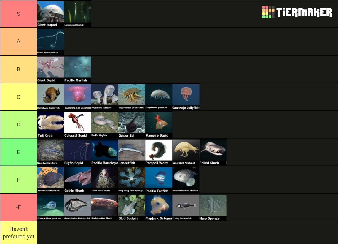 Deep Sea Creatures Tier List (Community Rankings) - TierMaker