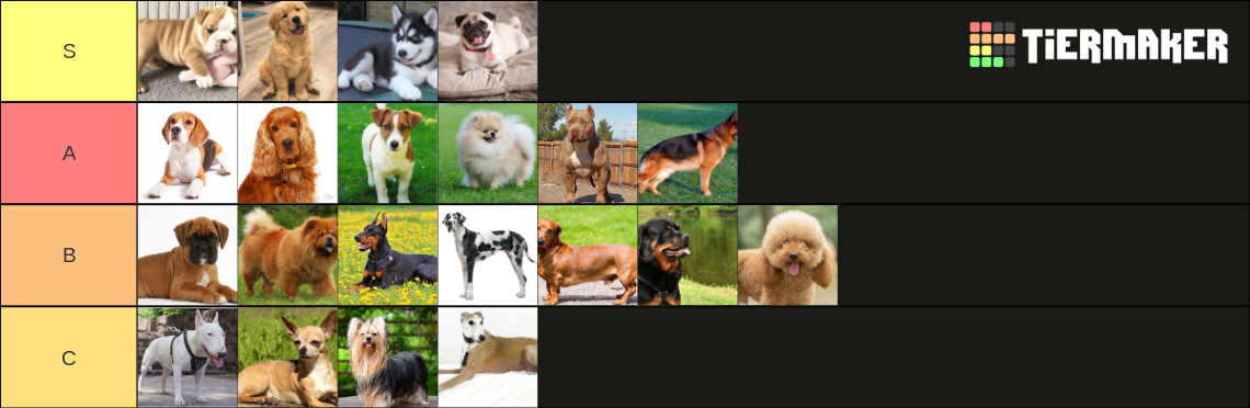 Dog Breeds Tier List (Community Rankings) - TierMaker