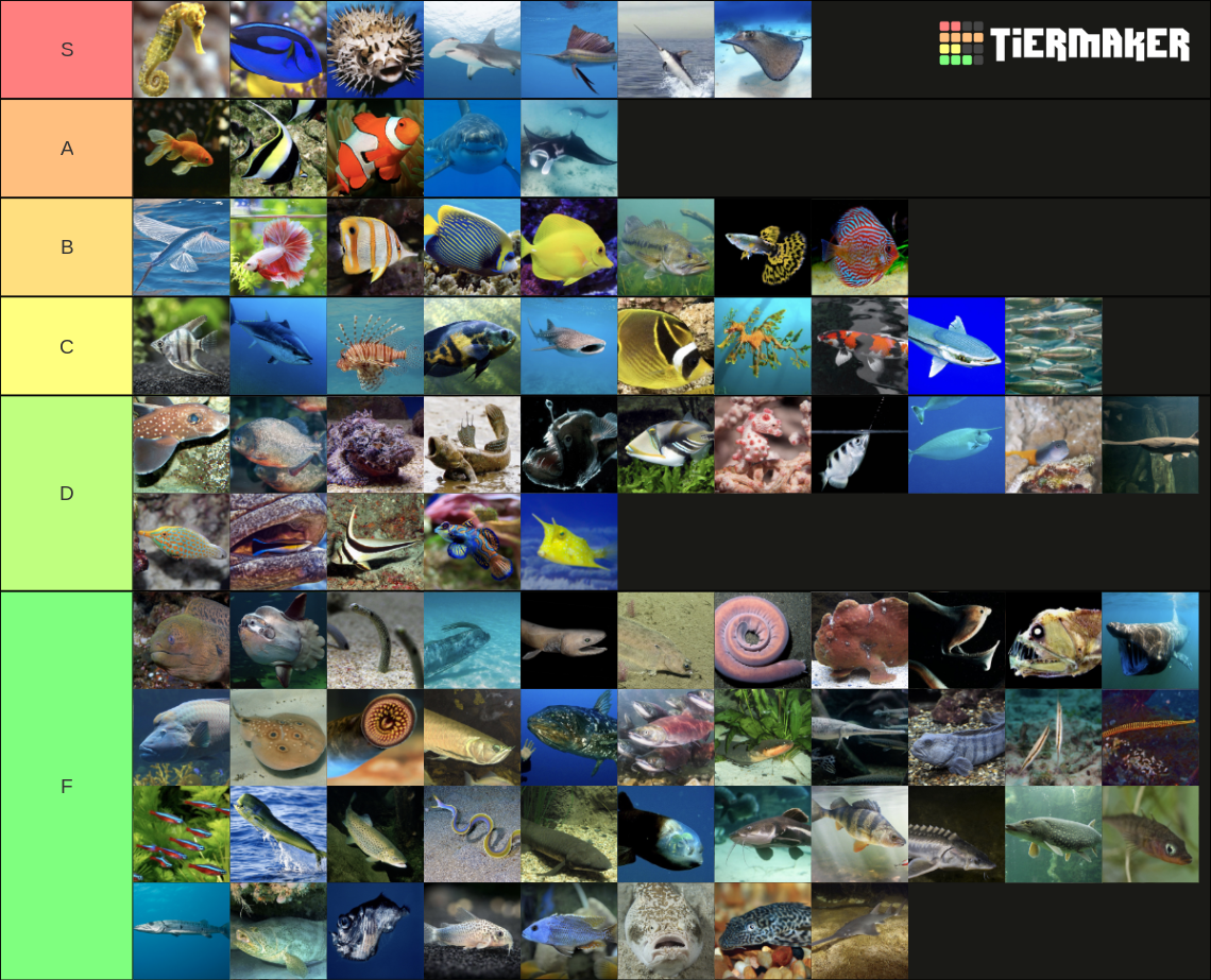 Fish Tier List (Community Rankings) - TierMaker
