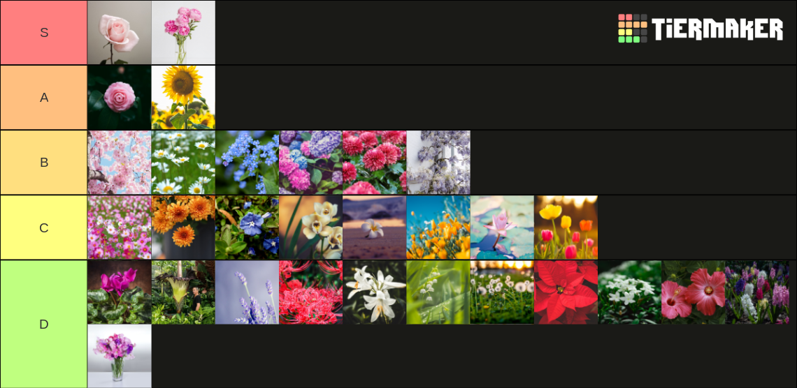 (Popular) Flowers Tier List (Community Rankings) - TierMaker