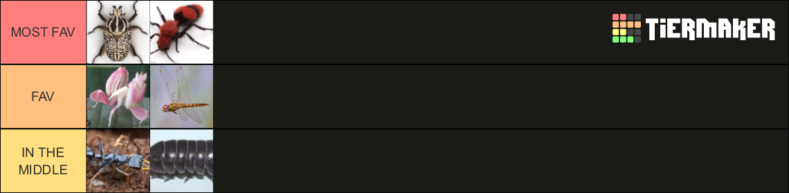 Fav insect Tier List (Community Rankings) - TierMaker