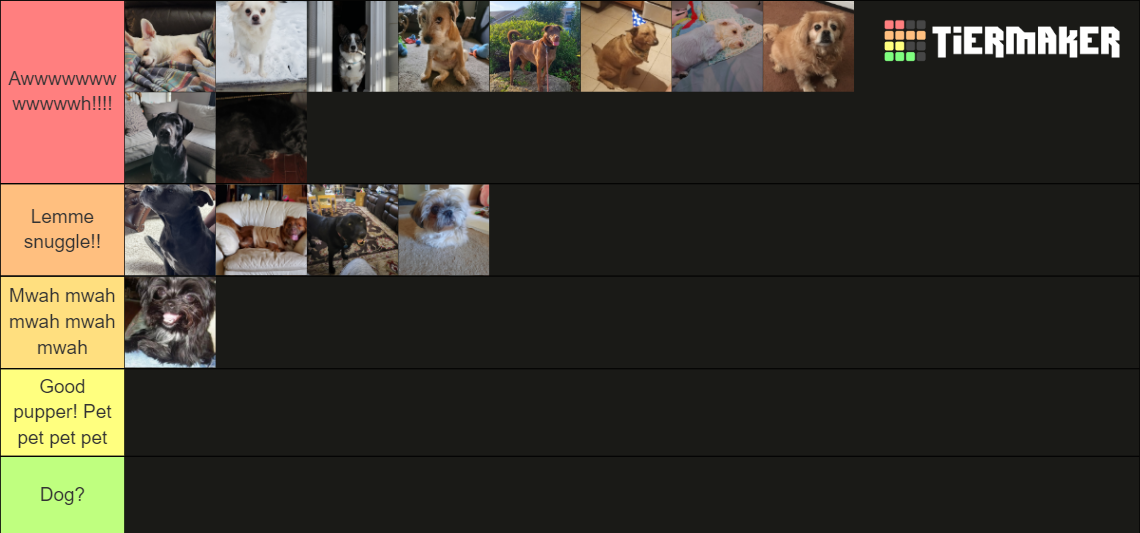 Good Doggo Tier List (Community Rankings) - TierMaker