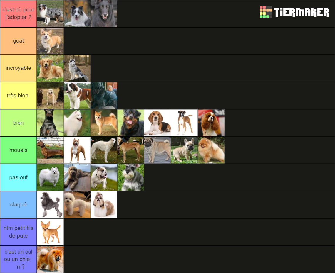 Rate Dogs Tier List (Community Rankings) - TierMaker