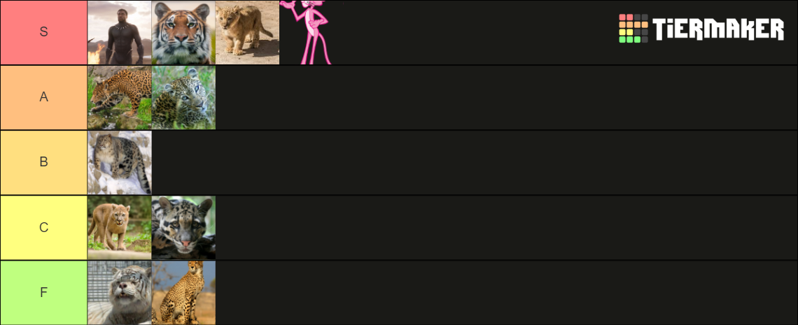 Big Cat Tierlist Tier List (Community Rankings) - TierMaker