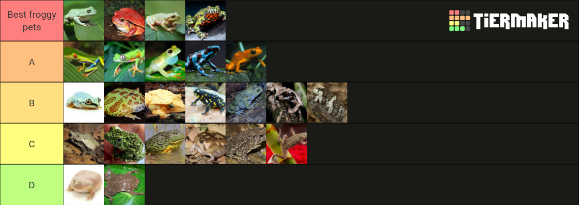 Pet frog tierlist Tier List (Community Rankings) - TierMaker