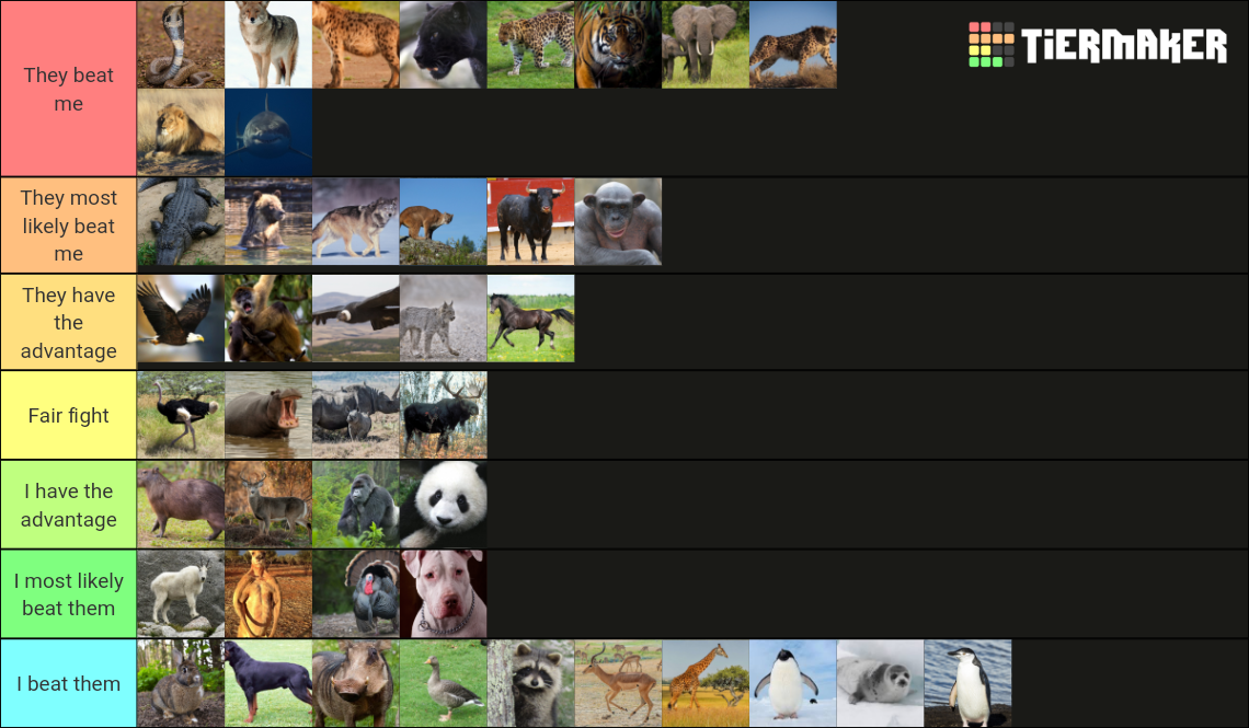 Animals I could take in a fight Tier List (Community Rankings) - TierMaker