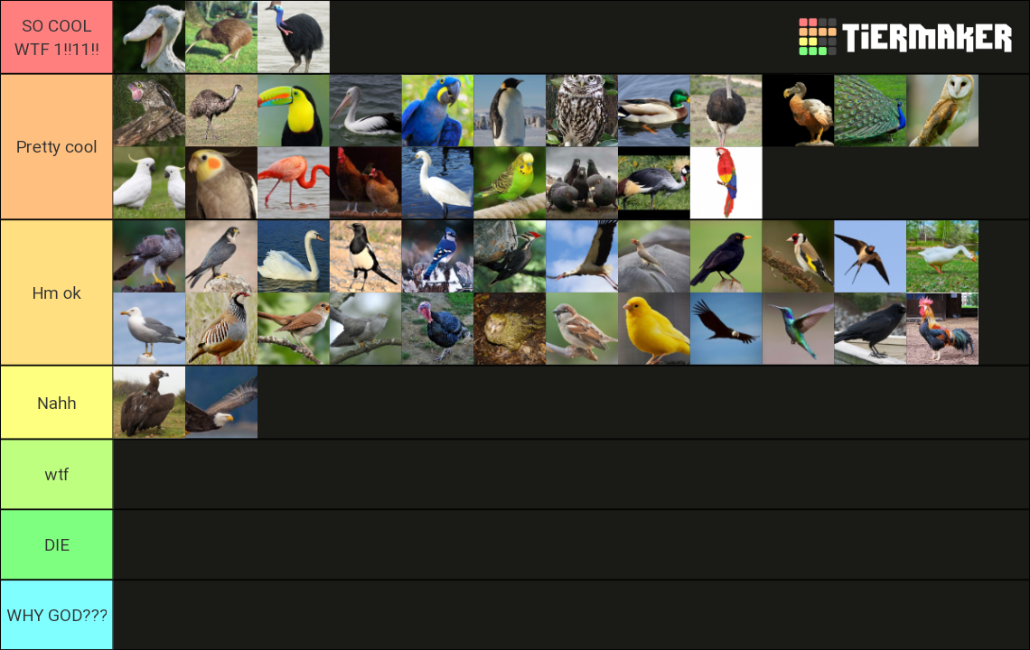 Bird ( 50 birds ) Tier List (Community Rankings) - TierMaker