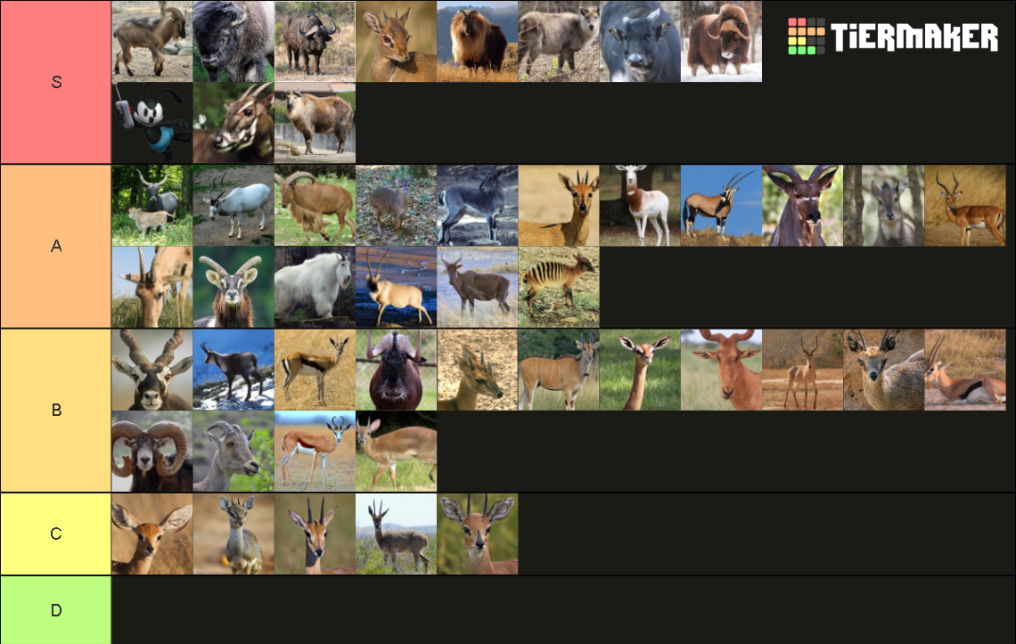 Bovid Tier List (Community Rankings) - TierMaker