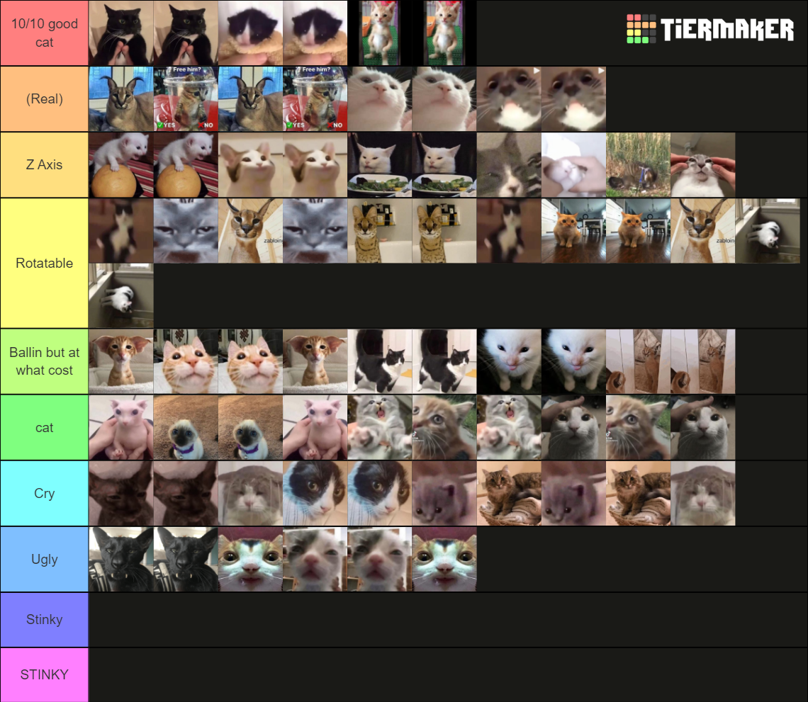 Meme Cats Tier List (Community Rankings) - TierMaker
