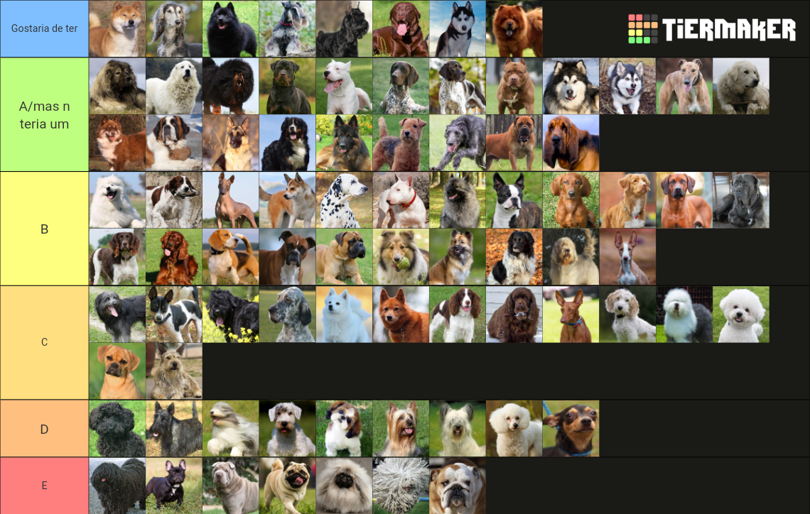 Dog Breeds Tier List (Community Rankings) - TierMaker