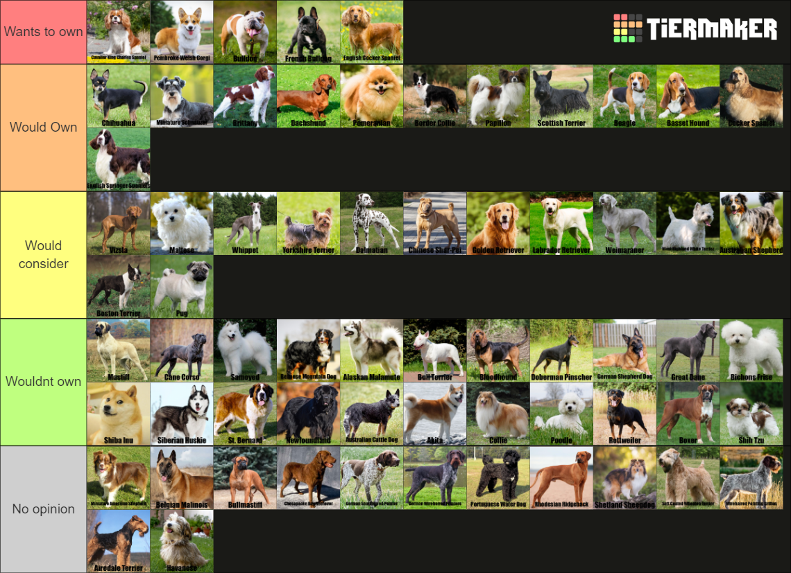 Dog Breeds Tier List (Community Rankings) - TierMaker