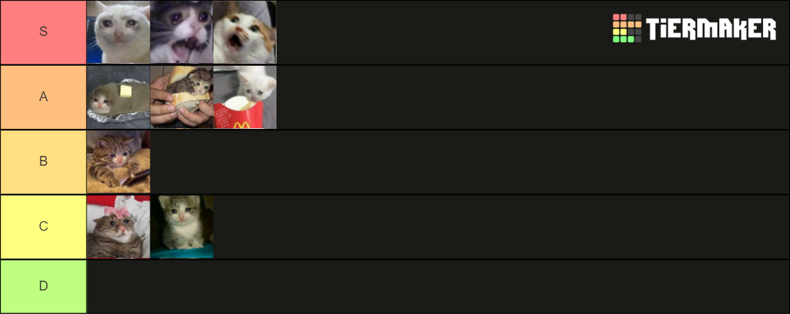 Sad Cats Tier List (Community Rankings) - TierMaker