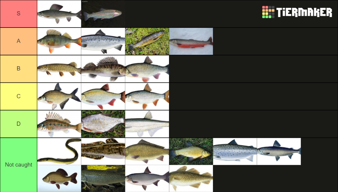 Finnish fish Tier List (Community Rankings) - TierMaker