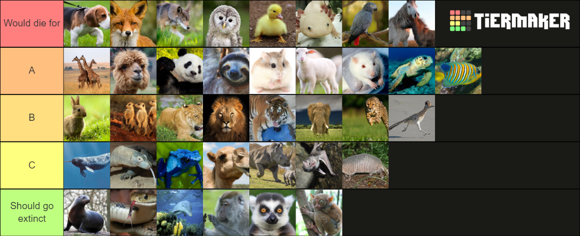 Animals Tier List (Community Rankings) - TierMaker
