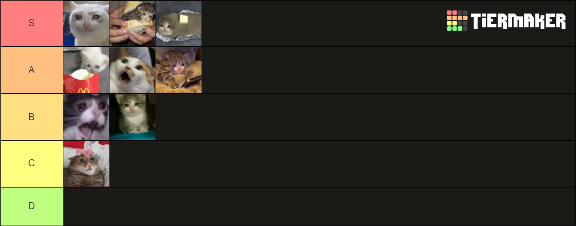 Sad Cats Tier List (Community Rankings) - TierMaker
