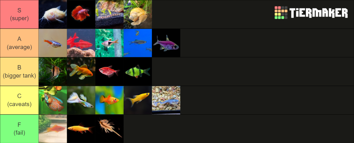 Aquarium Fish for Kids Tier List (Community Rankings) - TierMaker