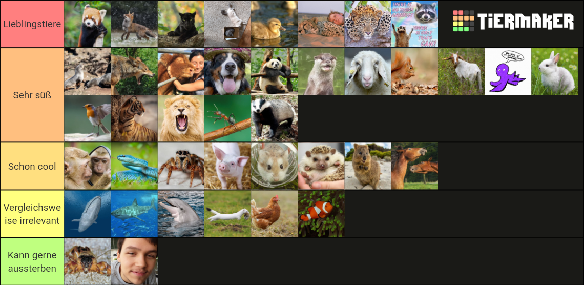 Funny animales Tier List (Community Rankings) - TierMaker