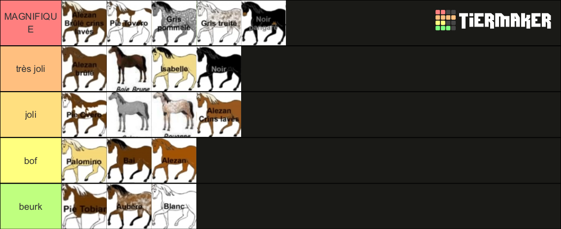 Robe Chevaux Tier List (Community Rankings) - TierMaker