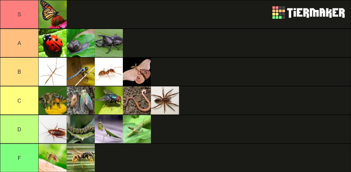 BUG Tier List (Community Rankings) - TierMaker