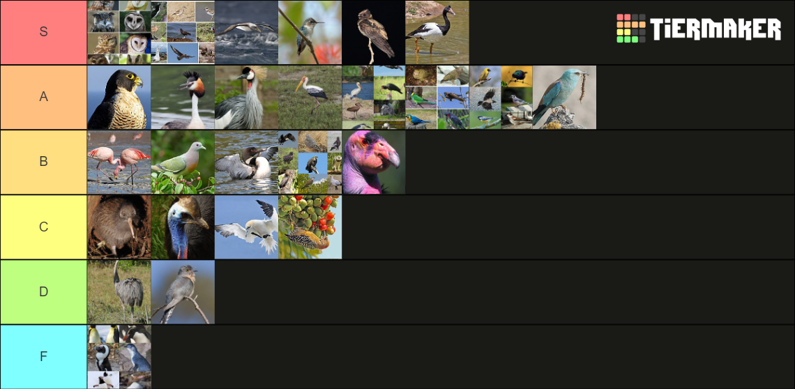 Birds by Taxonomic Order Tier List (Community Rankings) - TierMaker