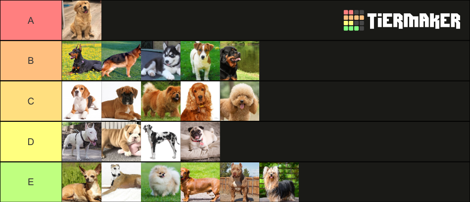 Dog Breeds Tier List (Community Rankings) - TierMaker