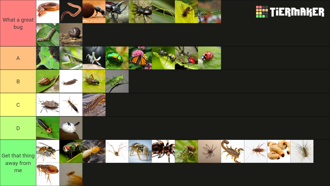 Bug (including bug like things like arachnids) Tier List (Community ...