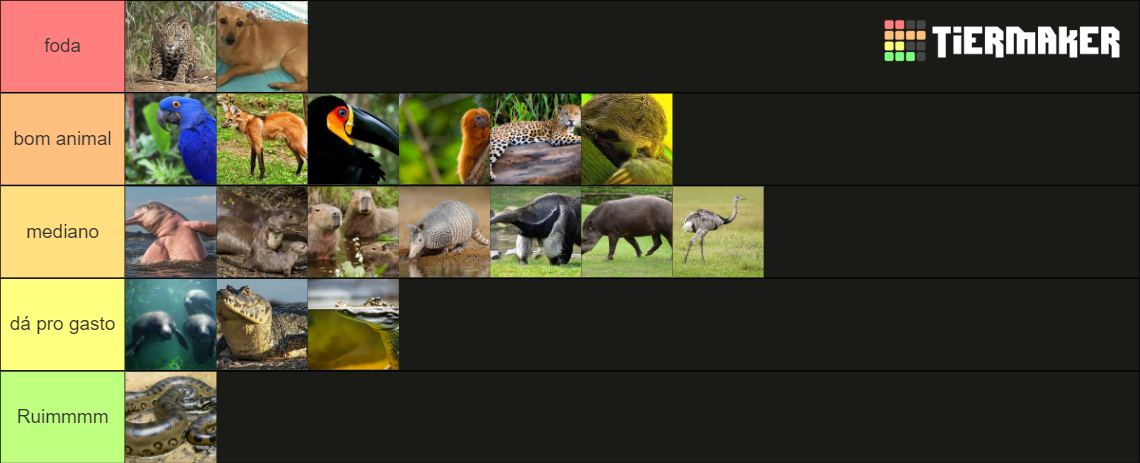Brazilian animals Tier List (Community Rankings) - TierMaker
