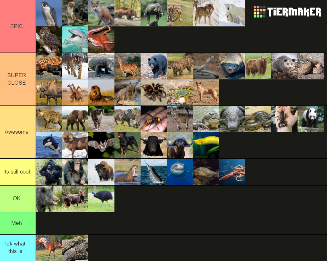 Animals Tier List (Community Rankings) - TierMaker