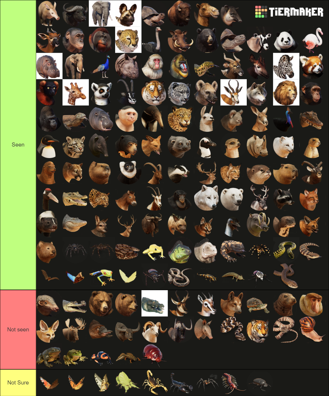 Planet Zoo Tier List (Community Rankings) - TierMaker