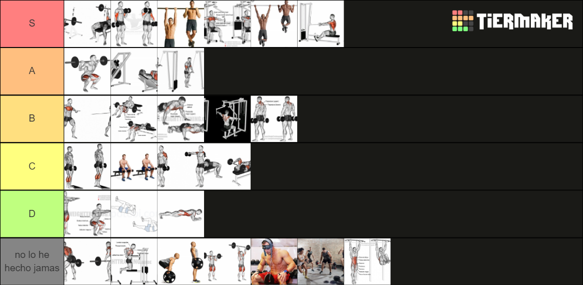 Gym exercises tierlist Tier List (Community Rankings) - TierMaker