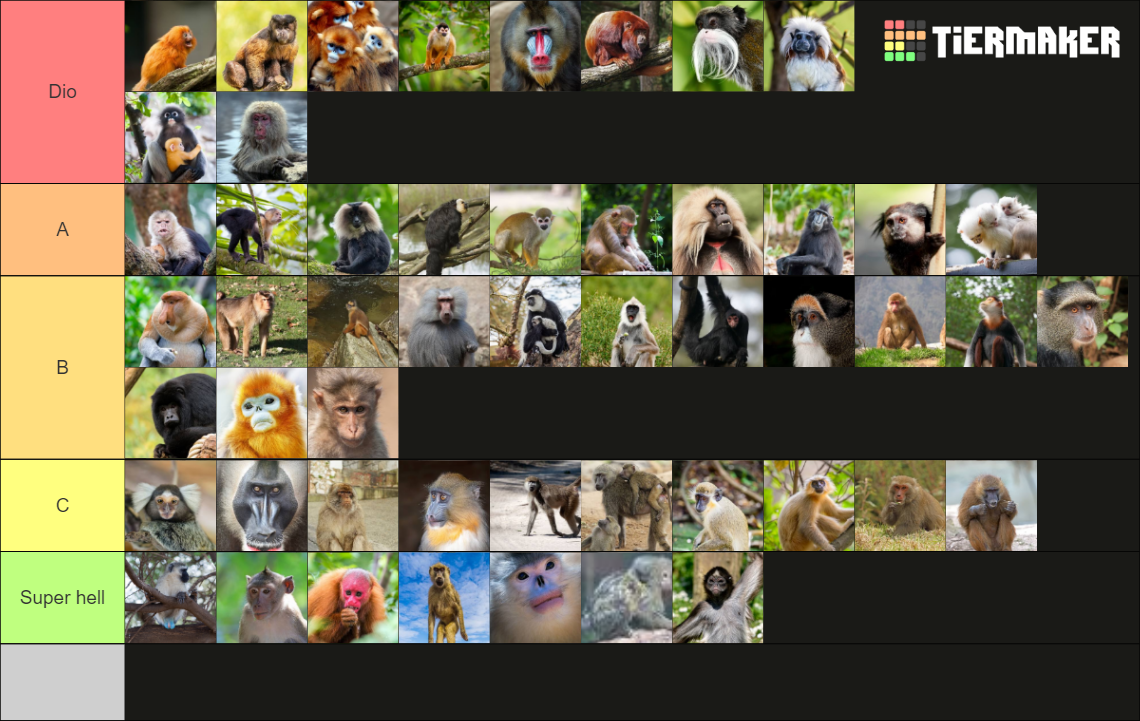 Monkey Monkey Monkey Tier List (Community Rankings) - TierMaker