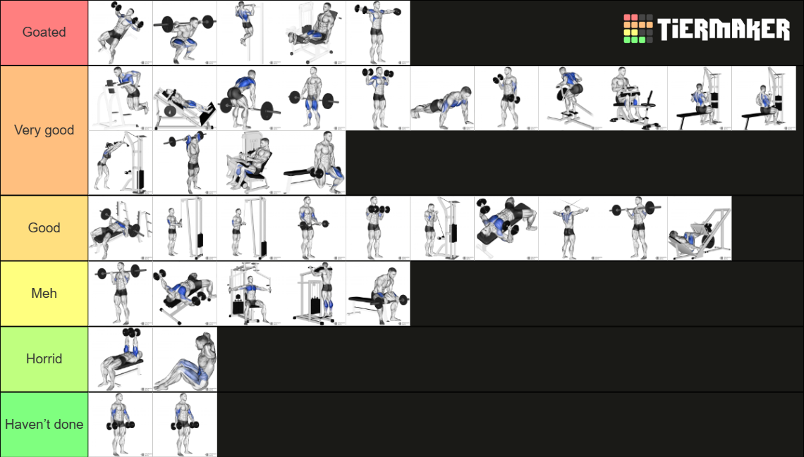 Best Gym Workout’s Tier List (Community Rankings) - TierMaker