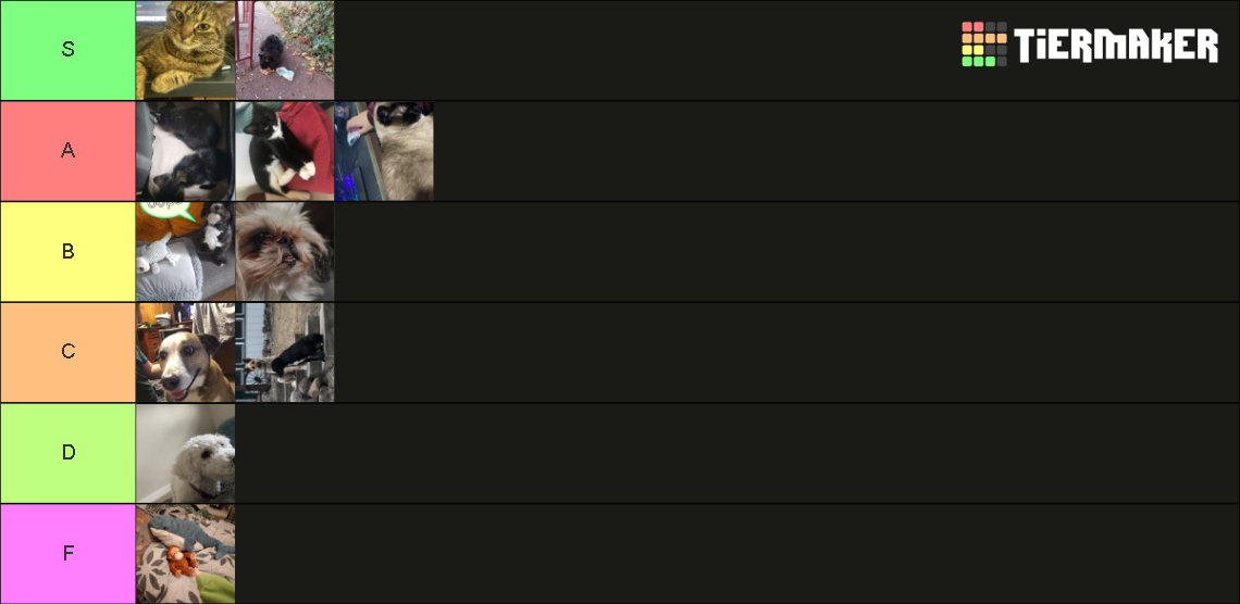 DE Pet Tier List (Community Rankings) - TierMaker