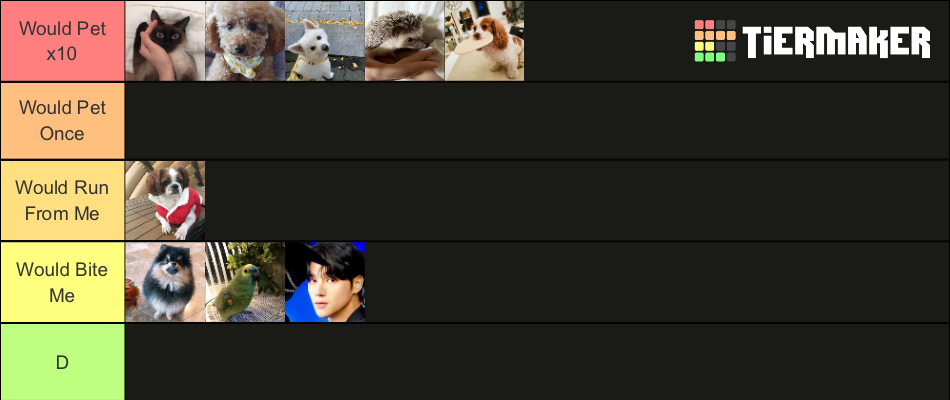 Ranking Kpop Pets Tier List (Community Rankings) - TierMaker
