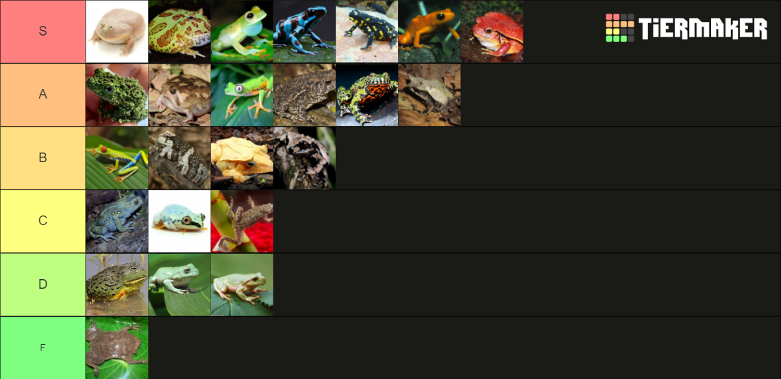 Pet frog tierlist Tier List (Community Rankings) - TierMaker