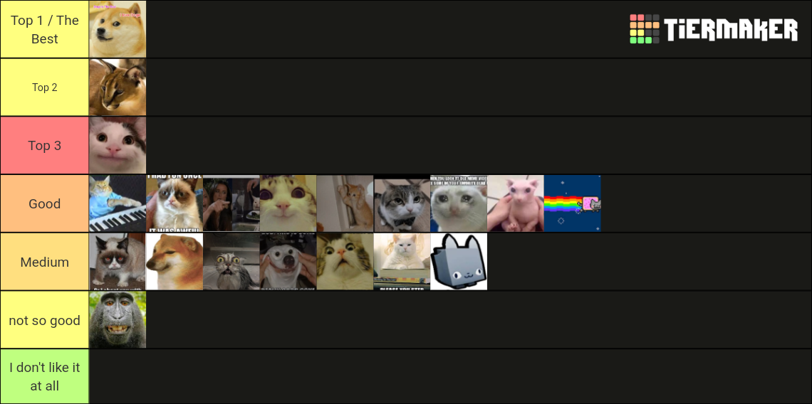 Animal Meme Tier List (Community Rankings) - TierMaker